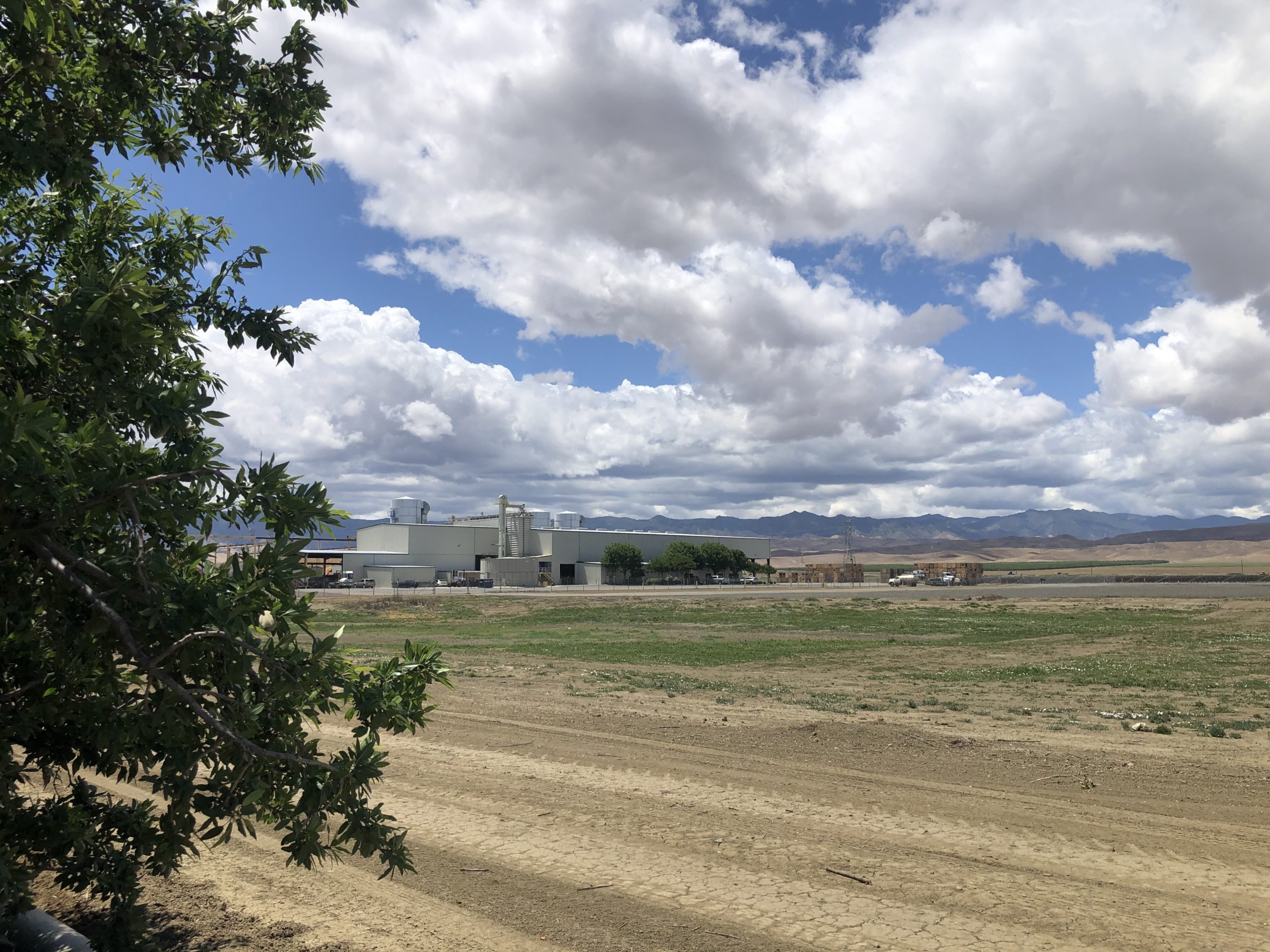 Superior Almond Hulling Homepage - Superior Almond