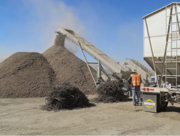 Harvest Guidelines - Superior Almond Hulling