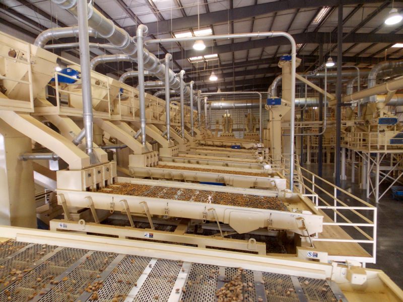 Almond Hulling & Shelling - Superior Almond Hulling